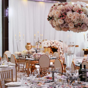 Home | Provo Towne Centre