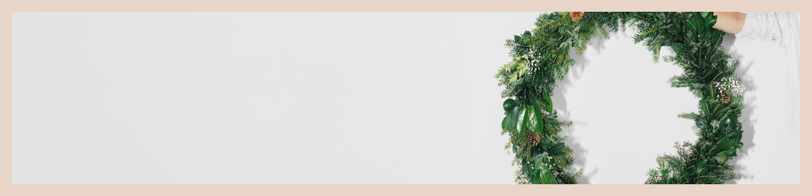 Visit | Provo Towne Centre